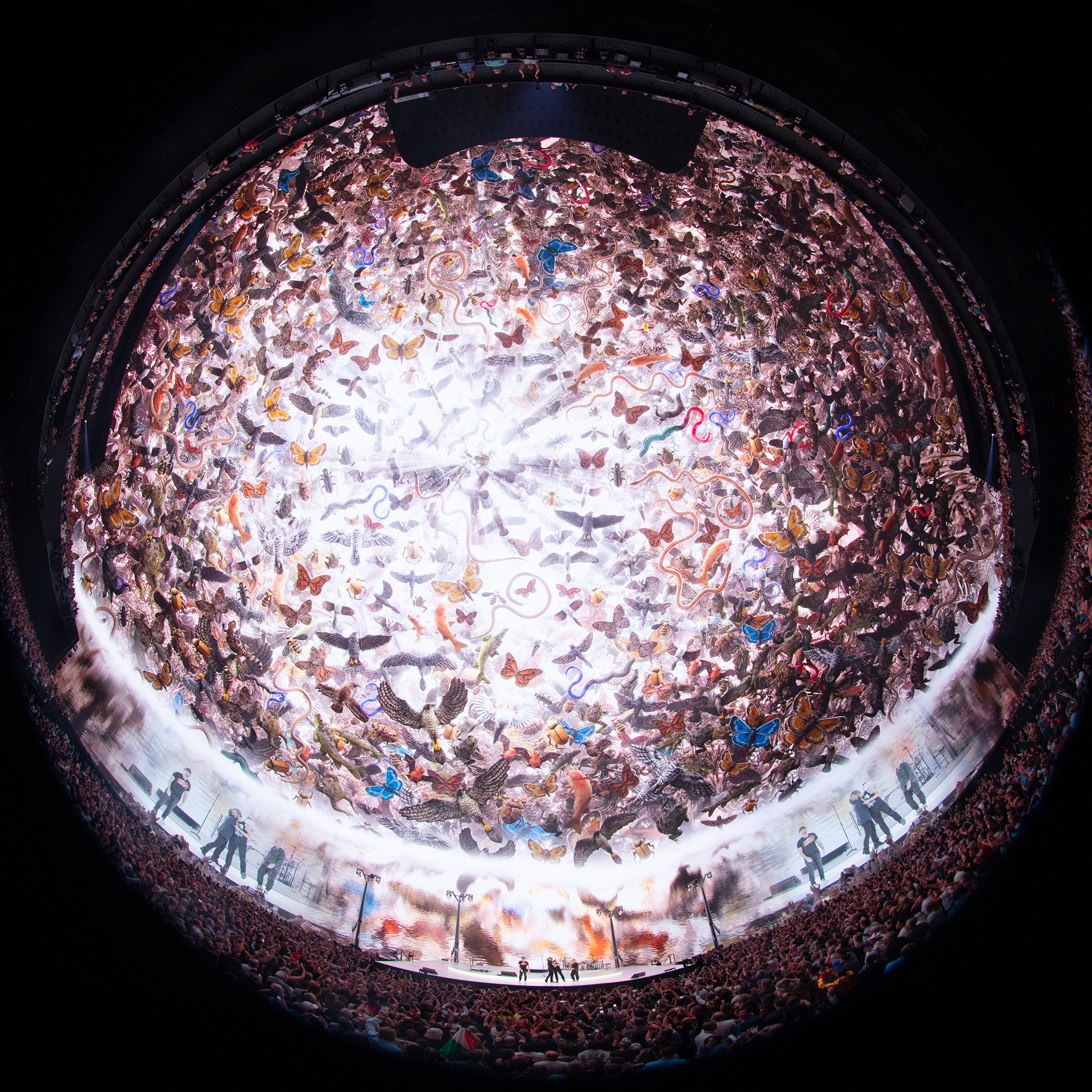 U2 > Tours > U2:UV Achtung Baby Live At Sphere